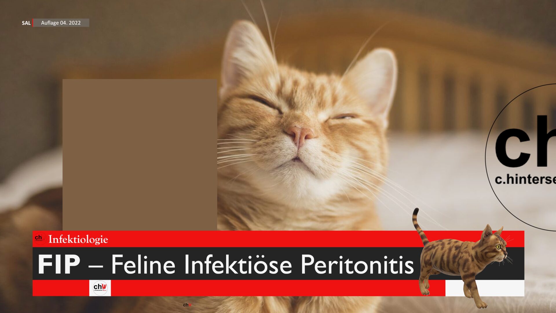chW Infektiologie FIP – Feline Infektiöse Peritonitis – C. Hinterseher Wissen