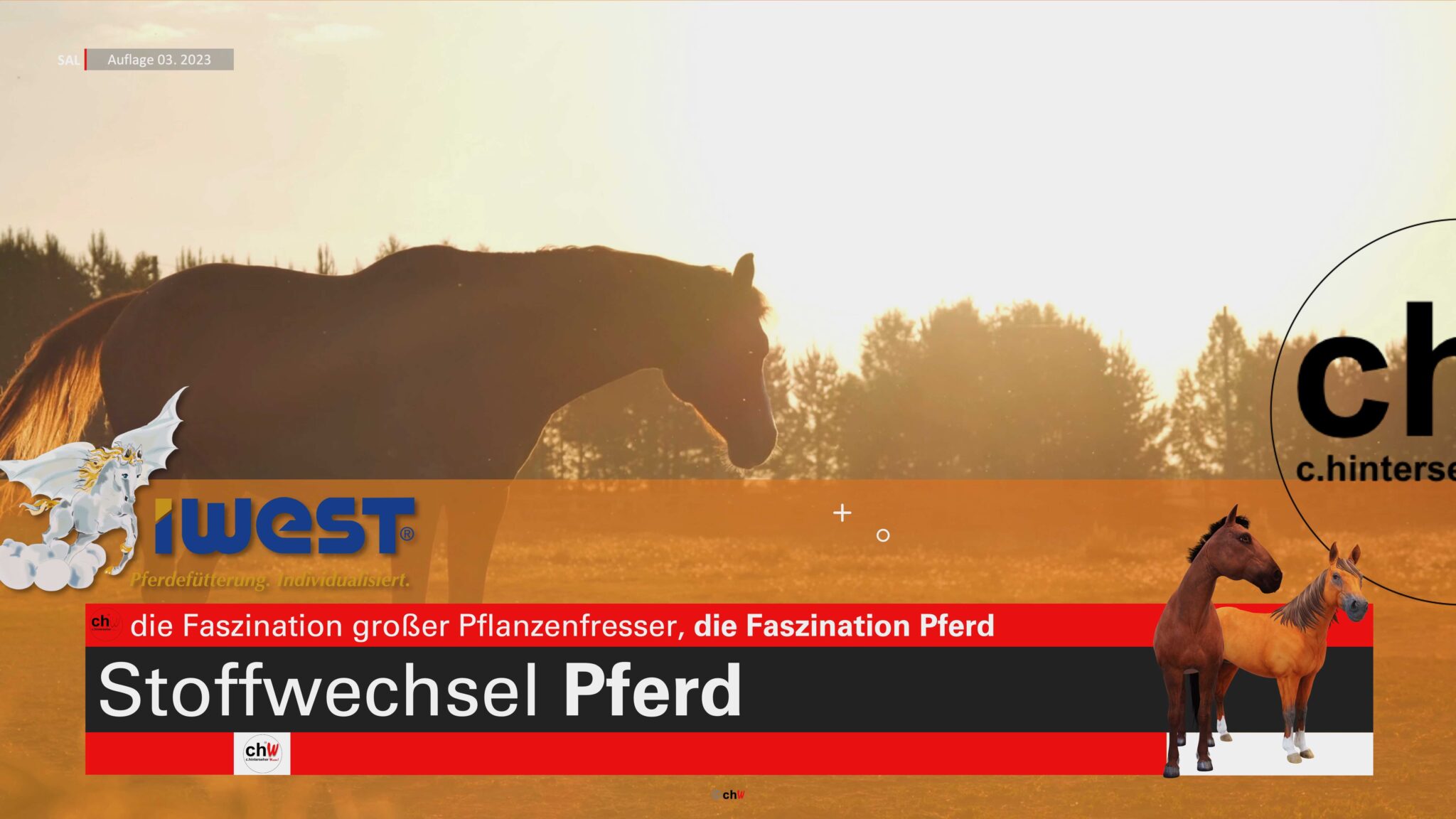 chW für iWEST – die Faszination Pferd – C. Hinterseher Wissen