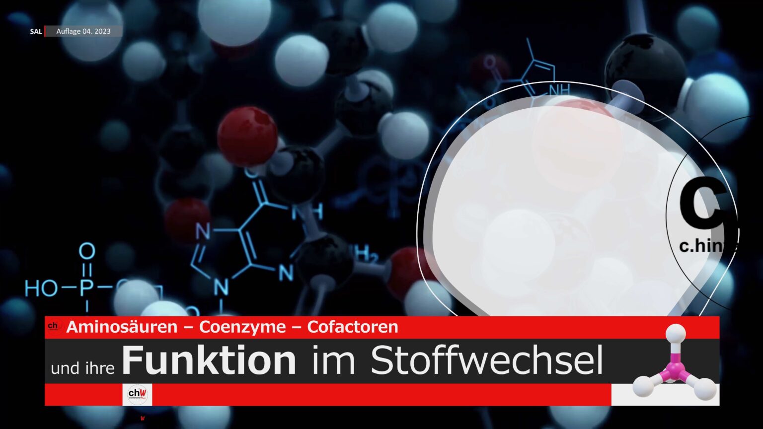 chW Aminosäuren – Coenzyme – Cofactoren und ihre Funktion im Stoffwechsel – C. Hinterseher Wissen
