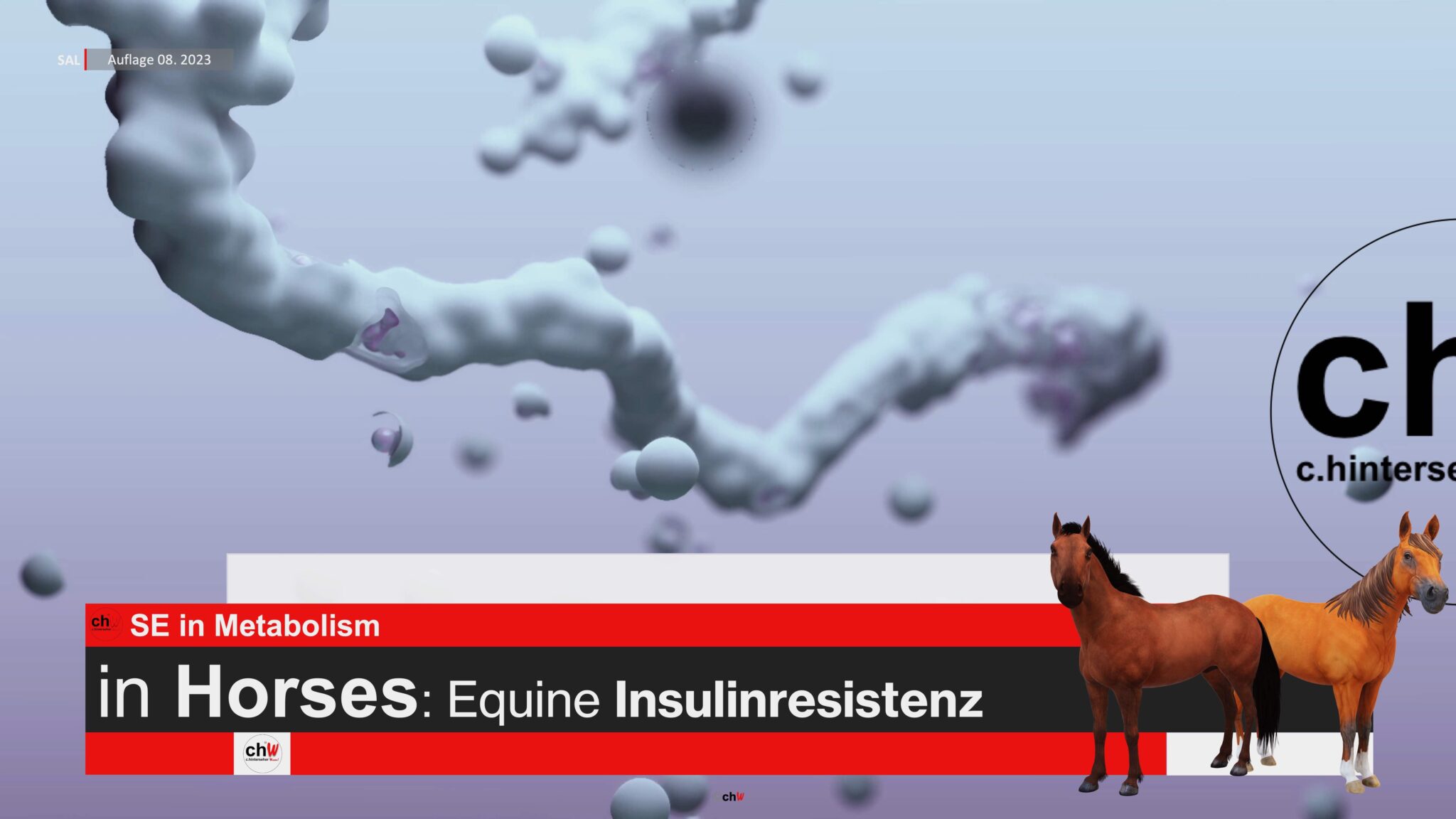 chW SE in Metabolism in Horses: Equine Insulinresistenz – C ...