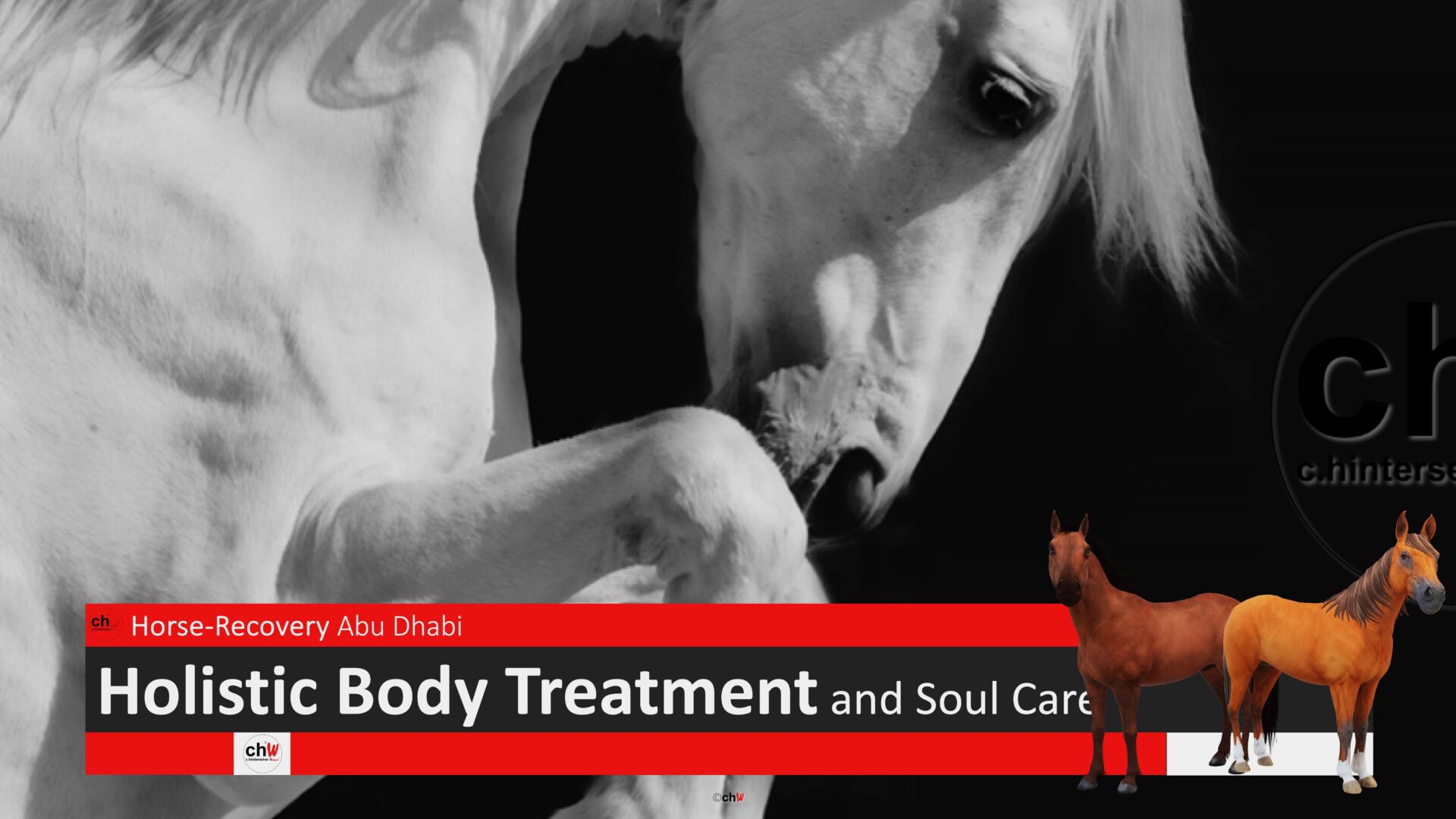 chW Horse-Recovery Abu Dhabi Holistic Body Treatment and Soul Care – C ...