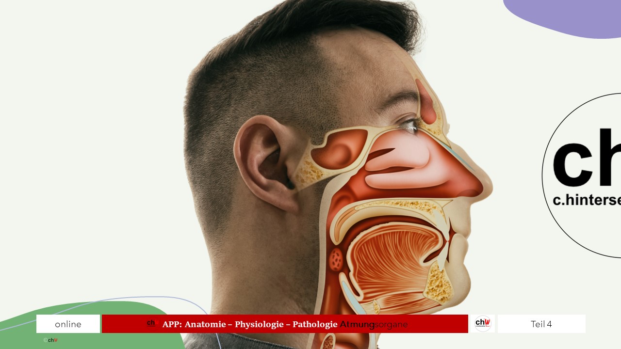 chW APP: Anatomie – Physiologie – Pathologie Atmungsorgane II – C ...